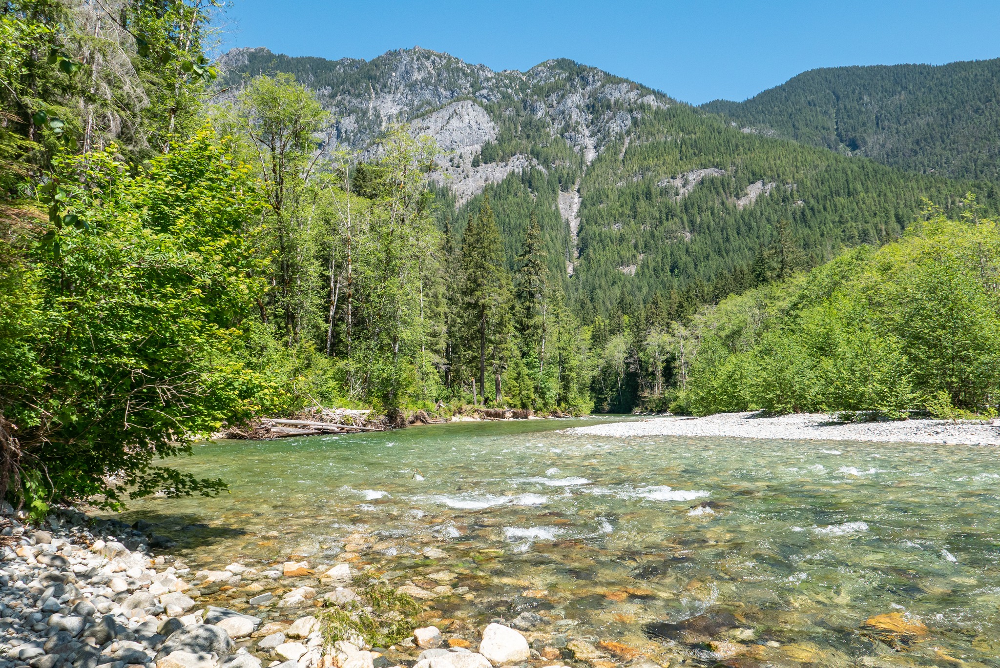 Middle Fork Snoqualmie River — Washington Trails Association